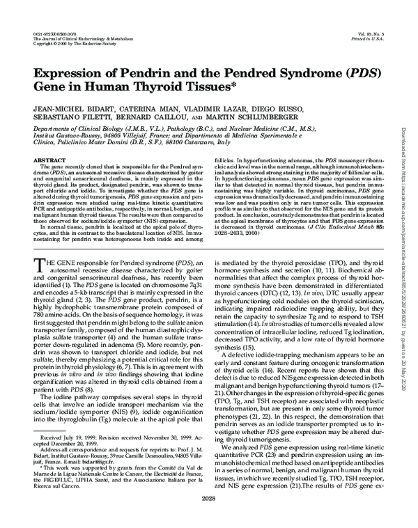 (PDF) Expression of Pendrin and the Pendred Syndrome ( PDS ) Gene in ...