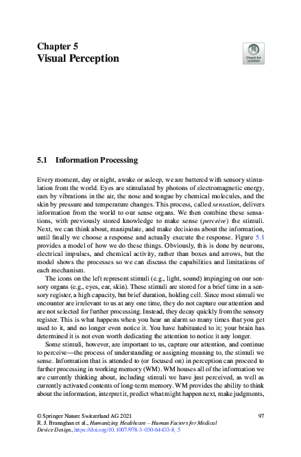 (PDF) Visual Perception