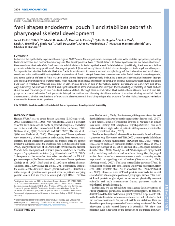 (PDF) FRAS1 Shapes Endodermal Pouch 1 and Stabilizes Zebrafish ...