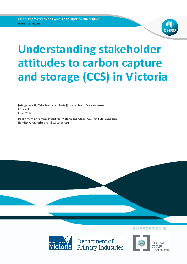(PDF) Understanding stakeholder attitudes to carbon capture and storage ...