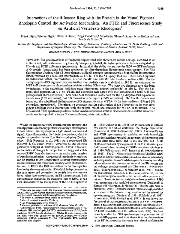 (PDF) Interactions of the .BETA.-ionone Ring with the Protein in the ...