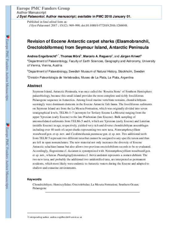 (PDF) Revision of Eocene Antarctic carpet sharks (Elasmobranchii ...