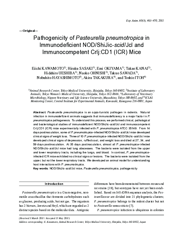 (PDF) Pathogenicity of Pasteurella pneumotropica in Immunodeficient NOD ...