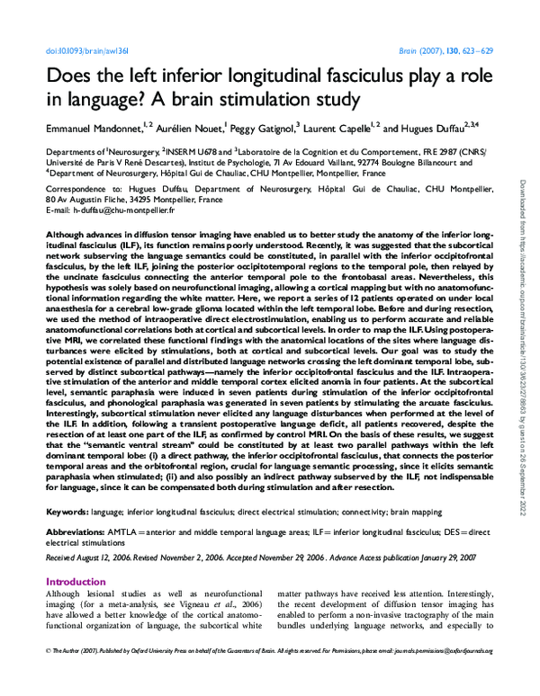 (PDF) Does the left inferior longitudinal fasciculus play a role in ...