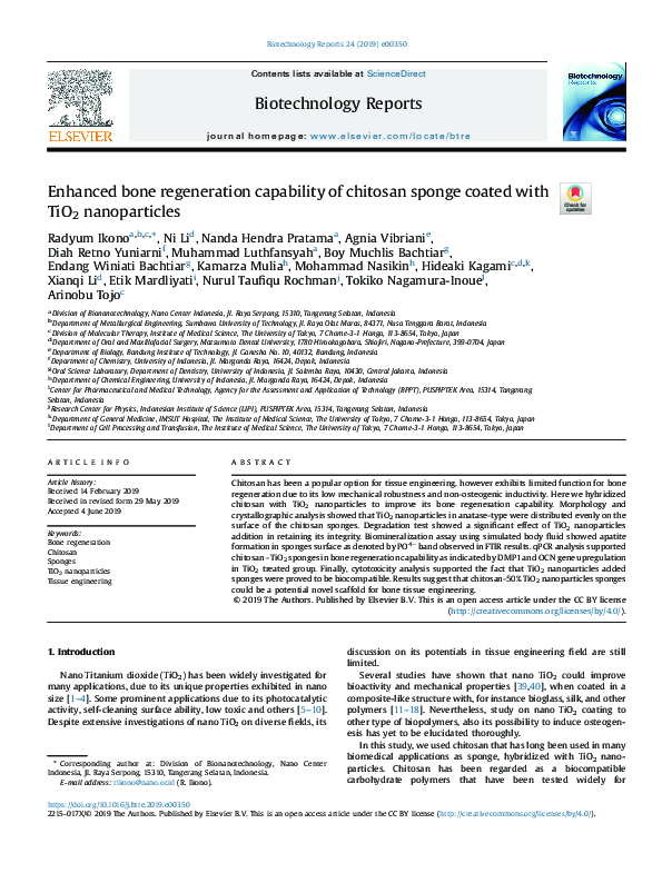 Pdf Enhanced Bone Regeneration Capability Of Chitosan Sponge Coated