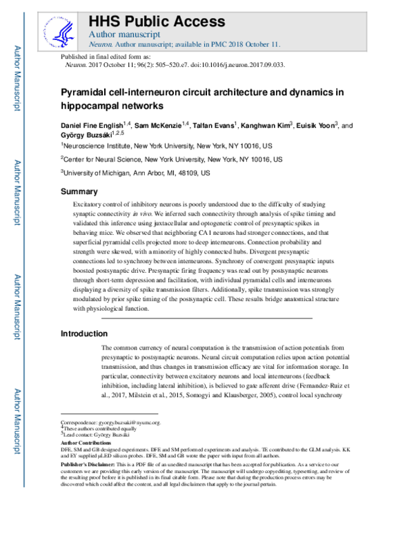 (PDF) Pyramidal Cell-Interneuron Circuit Architecture and Dynamics in Hippocampal Networks