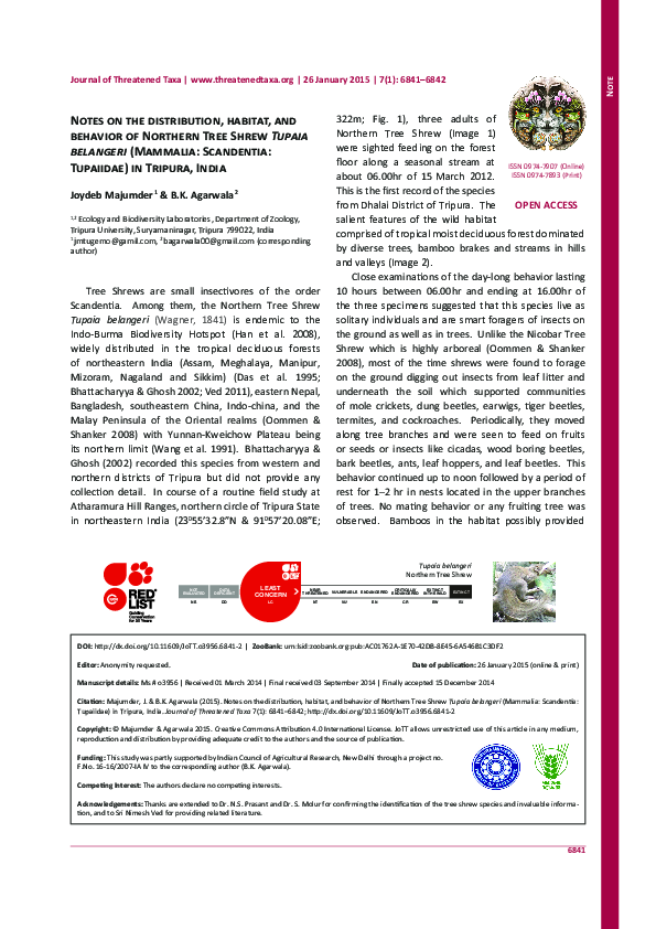 (PDF) Notes on the distribution, habitat, and behavior of Northern Tree ...