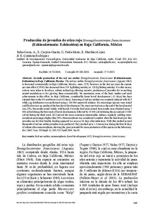 (PDF) Producción de juveniles de erizo rojo Strongylocentrotus ...