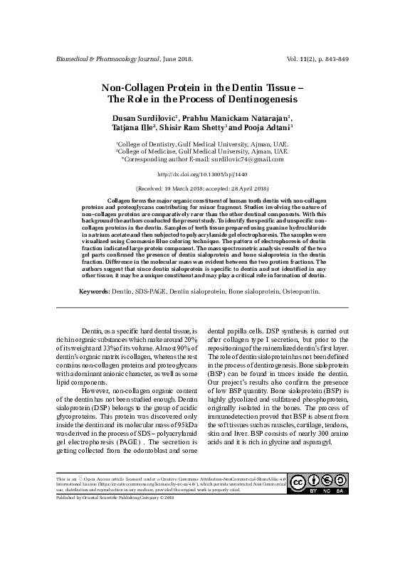 (PDF) Non-Collagen Protein in the Dentin Tissue – The Role in the ...