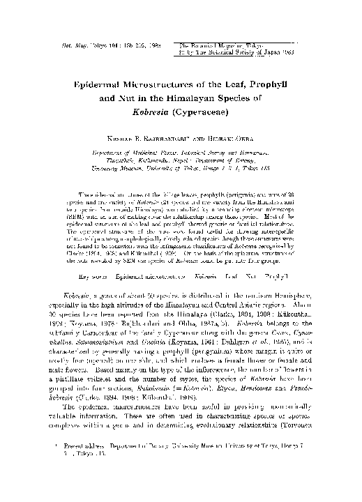 (PDF) Epidermal microstructures of the leaf, prophyll and nut in the ...