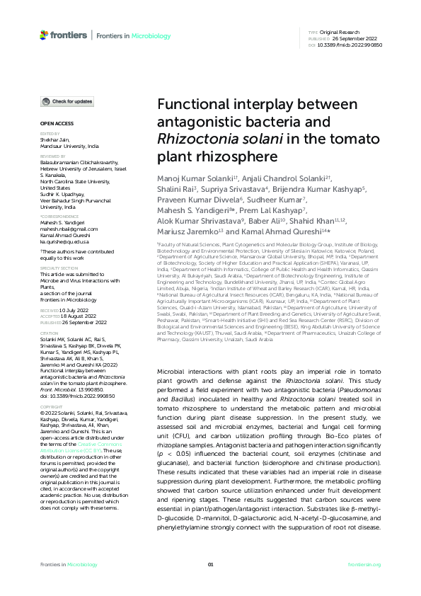 (PDF) Functional interplay between antagonistic bacteria and Rhizoctonia solani in the tomato ...
