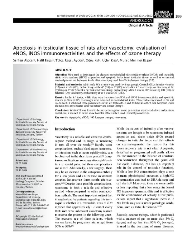 (PDF) Apoptosis in testicular tissue of rats after vasectomy ...