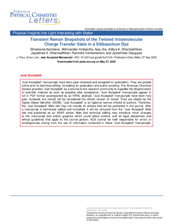 (PDF) Transient Raman Snapshots of the Twisted Intramolecular Charge ...