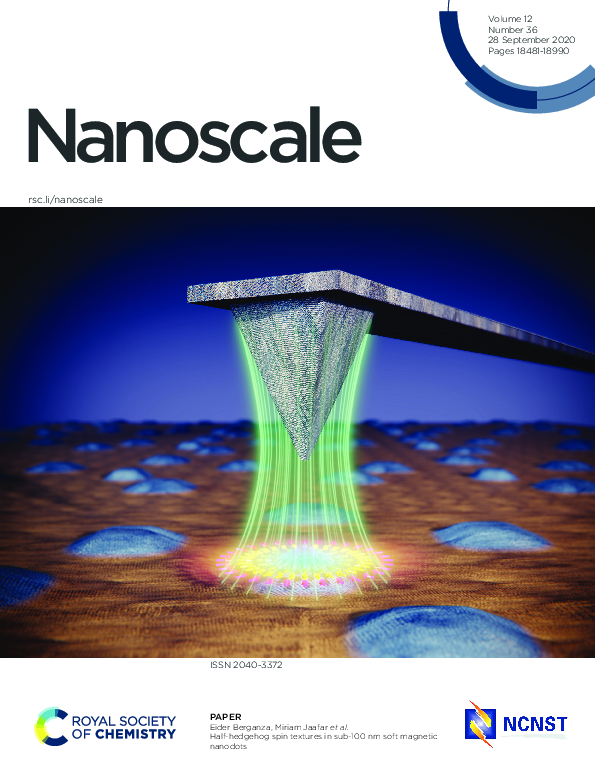 (PDF) Half-hedgehog spin textures in sub-100 nm soft magnetic nanodots | Konstantin Guslienko ...