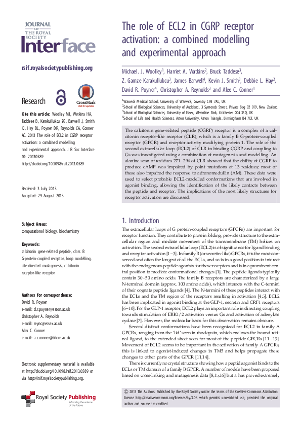 (PDF) The role of ECL2 in CGRP receptor activation: a combined modelling and experimental approach