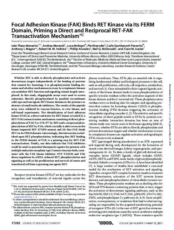 (PDF) FAK and RET Kinase Interactions: Implications for Cancer Therapy