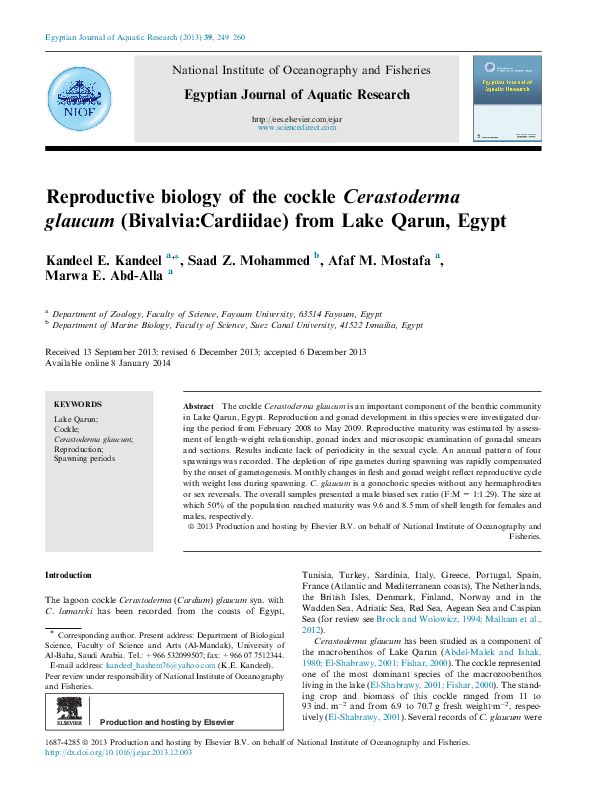 (PDF) Reproductive biology of the cockle Cerastoderma glaucum (Bivalvia ...