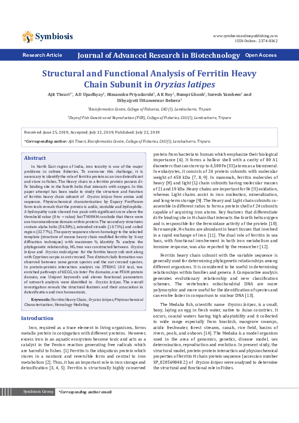 (PDF) Structural and functional analysis of ferritin heavy chain ...