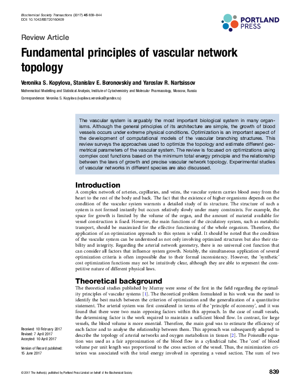 (PDF) Fundamental principles of vascular network topology