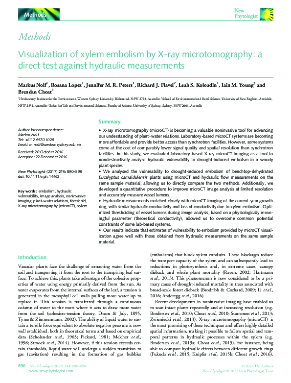 (PDF) Visualization of xylem embolism by X-ray microtomography: a ...