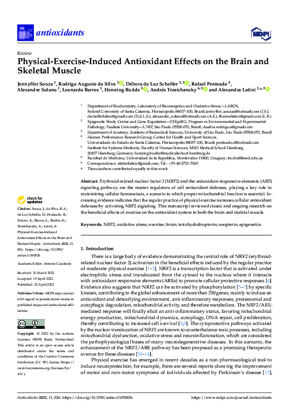 (PDF) Physical-Exercise-Induced Antioxidant Effects on the Brain and ...