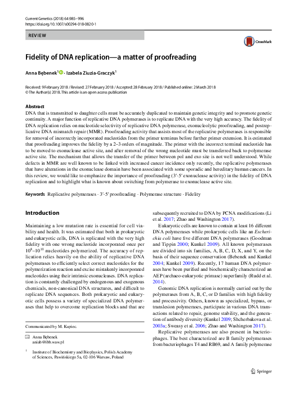 (PDF) Fidelity of DNA replication—a matter of proofreading