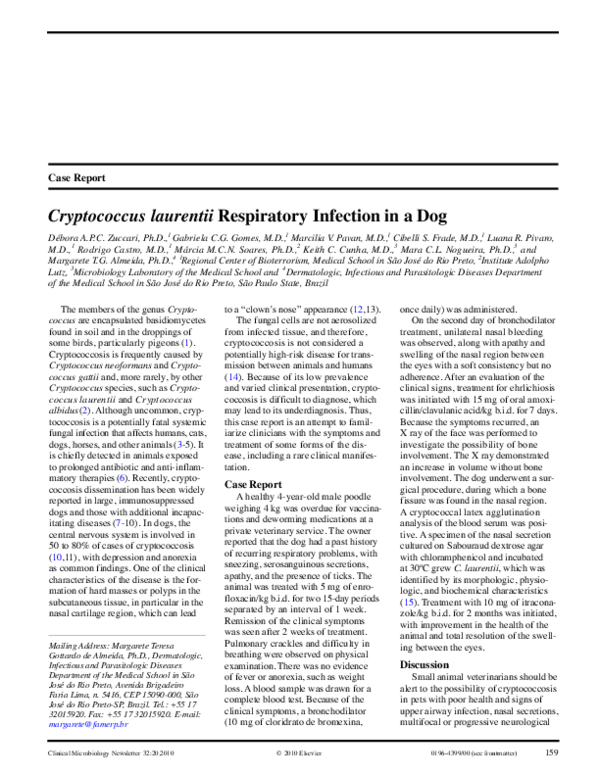 (PDF) Cryptococcus laurentii Respiratory Infection in a Dog