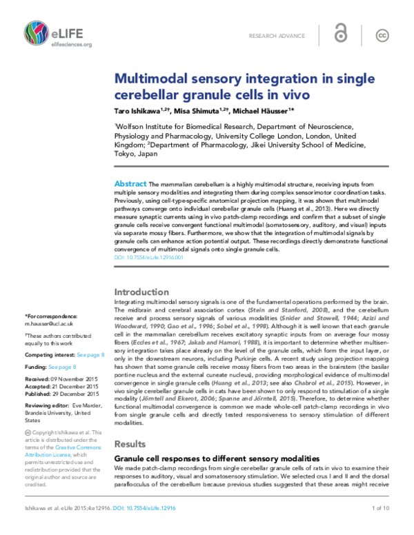 (PDF) Multimodal sensory integration in single cerebellar granule cells ...