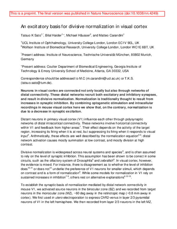 (PDF) An excitatory basis for divisive normalization in visual cortex