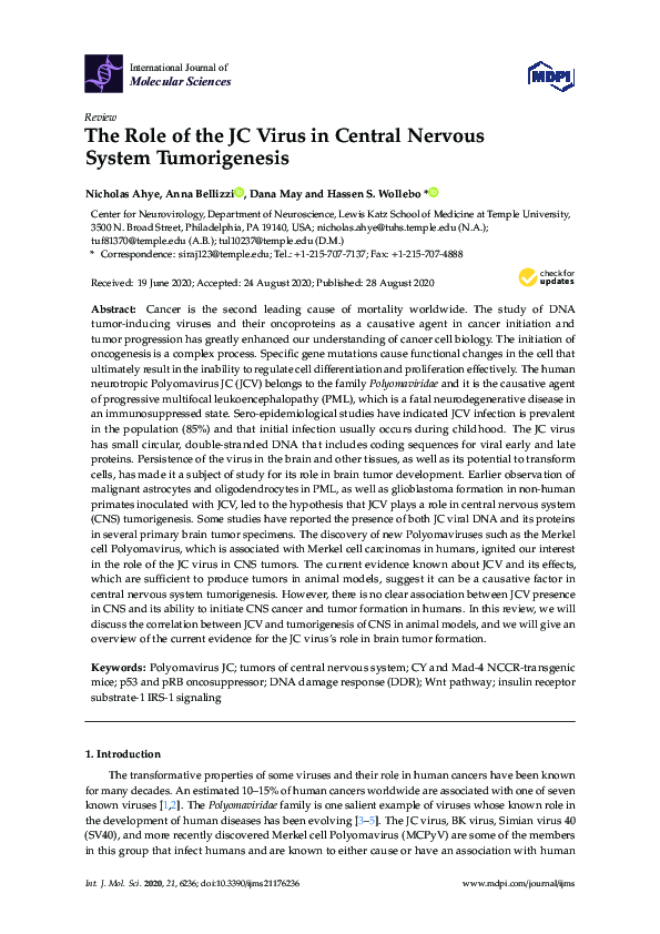(PDF) The Role of the JC Virus in Central Nervous System Tumorigenesis