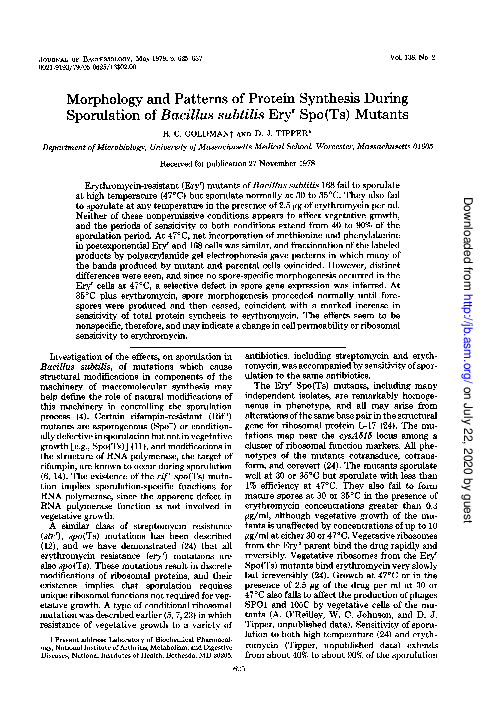 (PDF) Morphology and patterns of protein synthesis during sporulation ...