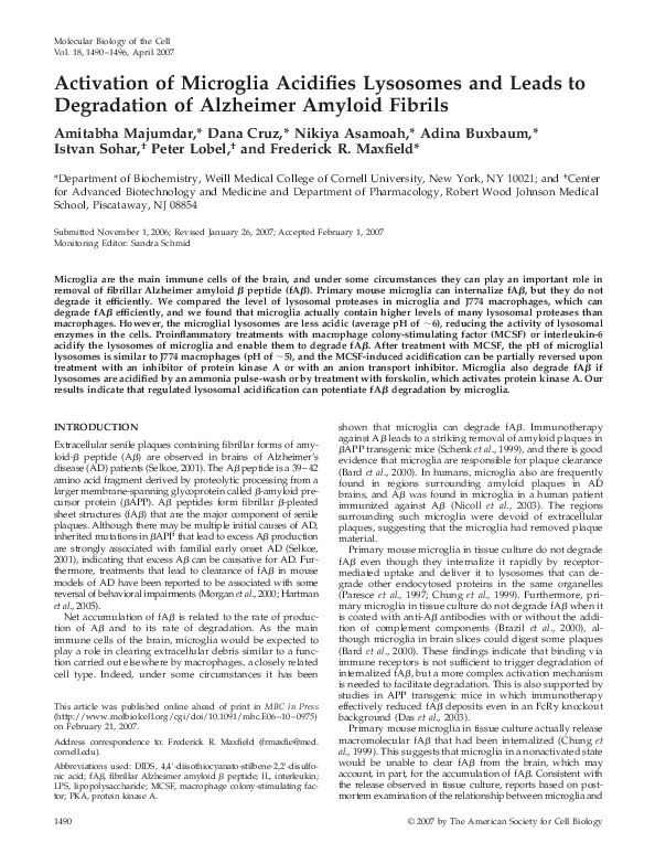 (PDF) Activation of Microglia Acidifies Lysosomes and Leads to ...