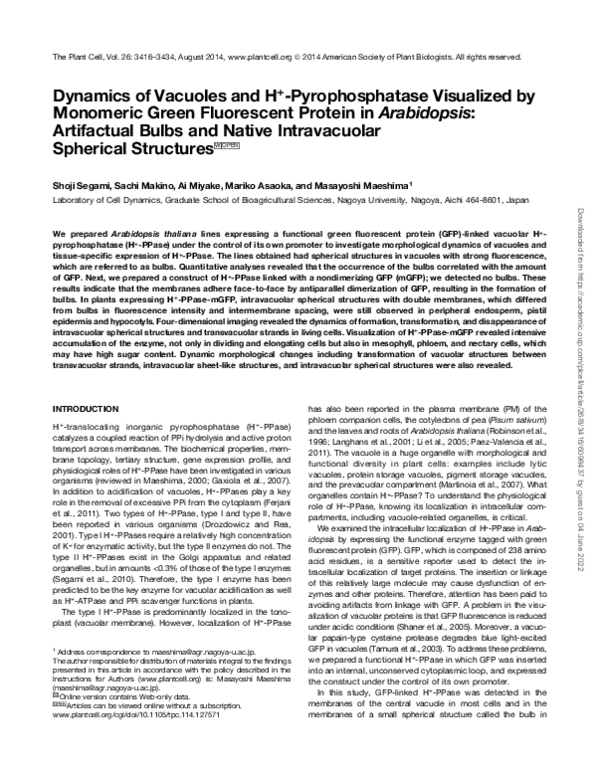 (PDF) Dynamics of vacuoles and H+-pyrophosphatase visualized by ...