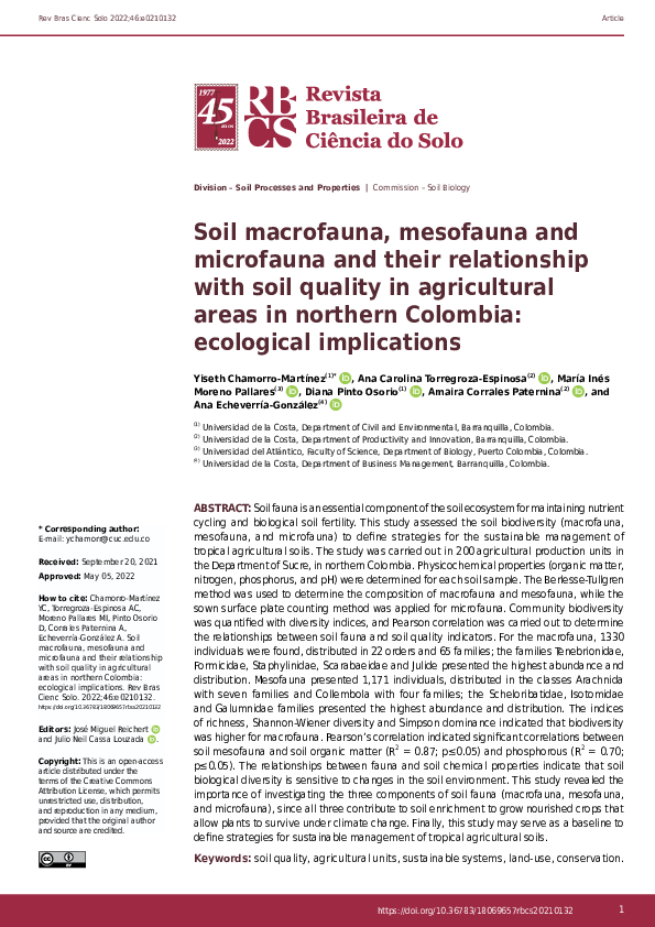 (PDF) Soil macrofauna, mesofauna and microfauna and their relationship ...