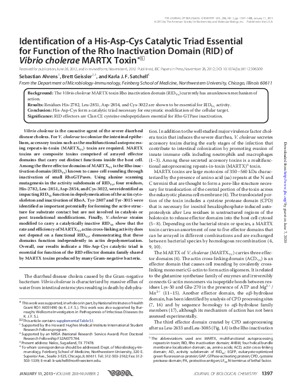 (PDF) Identification of a His-Asp-Cys Catalytic Triad Essential for ...