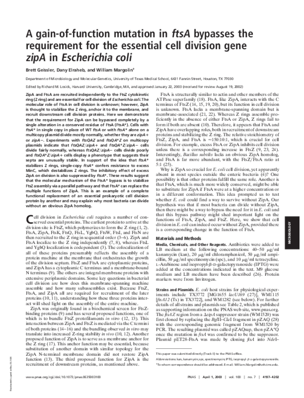 Pdf A Gain Of Function Mutation In Ftsa Bypasses The Requirement For