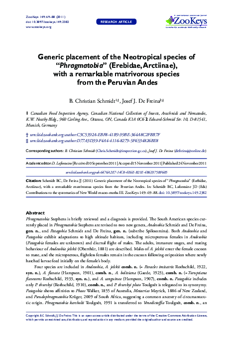(PDF) Generic placement of the Neotropical species of “Phragmatobia ...