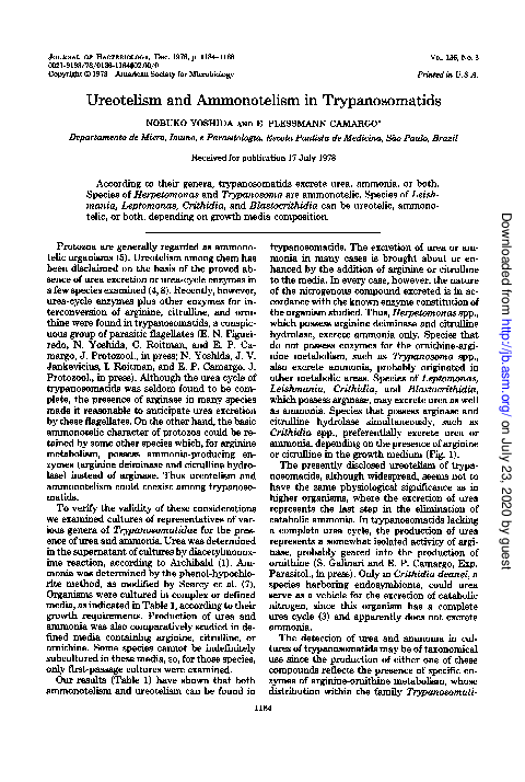 (PDF) Ureotelism and ammonotelism in trypanosomatids