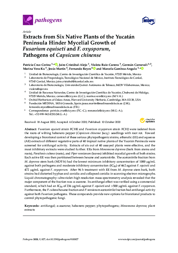 (PDF) Extracts from Six Native Plants of the Yucatán Peninsula Hinder ...