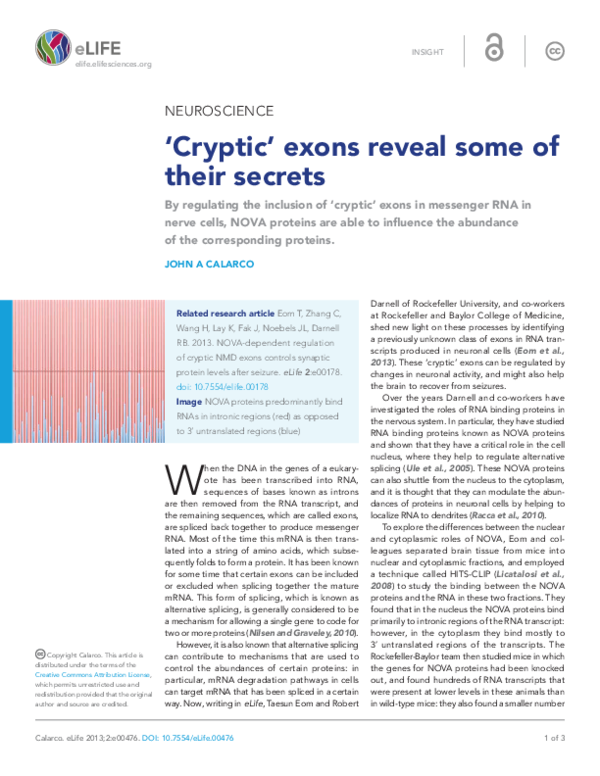 (PDF) ‘Cryptic’ exons reveal some of their secrets