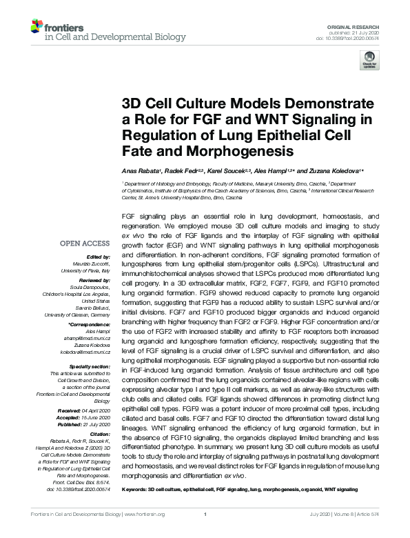 (PDF) 3D Cell Culture Models Demonstrate a Role for FGF and WNT Signaling in Regulation of Lung ...