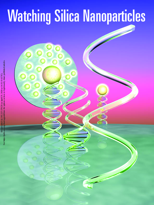 (PDF) Watching Silica Nanoparticles Glow in the Biological World