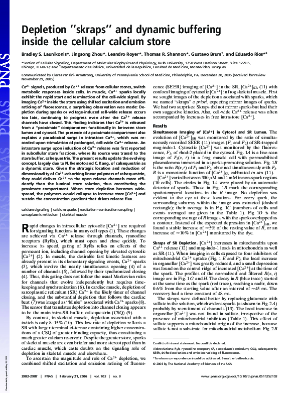 (PDF) Depletion “skraps” and dynamic buffering inside the cellular ...