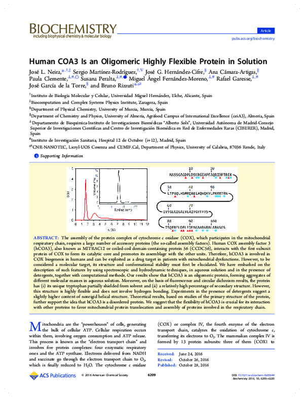 (PDF) Human COA3 is an oligomeric highly flexible protein in solution