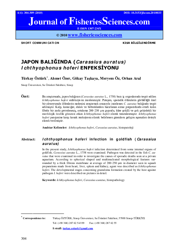 (PDF) Ichthyophonus hoferi infection in goldfish (Carassius auratus)