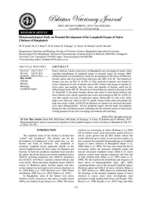 (PDF) Histomorphological Study on Prenatal Development of the Lymphoid ...