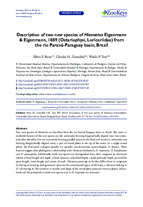 (PDF) Description of two new species of Hisonotus Eigenmann & Eigenmann ...