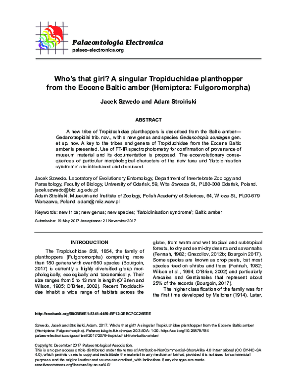 (PDF) Who’s that girl? A singular Tropiduchidae planthopper from the ...