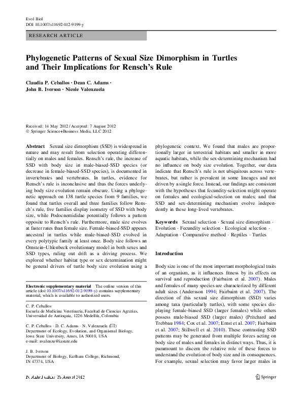 (PDF) Phylogenetic Patterns of Sexual Size Dimorphism in Turtles and ...