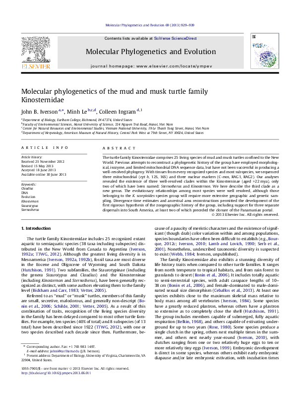 (PDF) Molecular phylogenetics of the mud and musk turtle family ...
